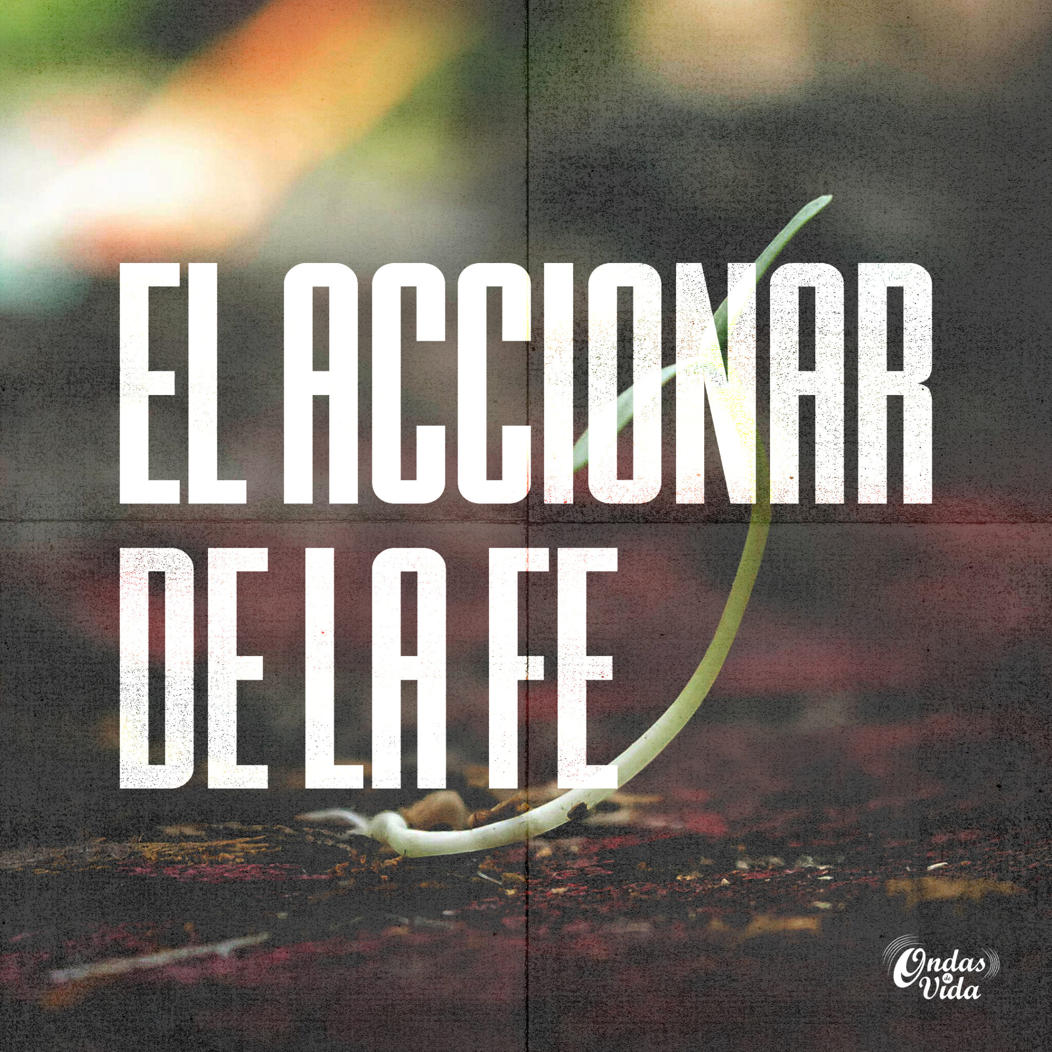 EL ACCIONAR DE LA FE- Devocional – Ondas de Vida